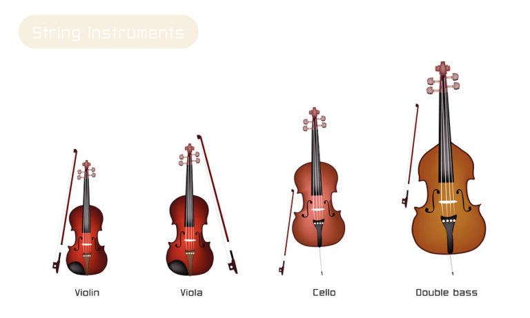 Violin, Viola, Cello, and Bass! What is the difference? - Lessons In ...
