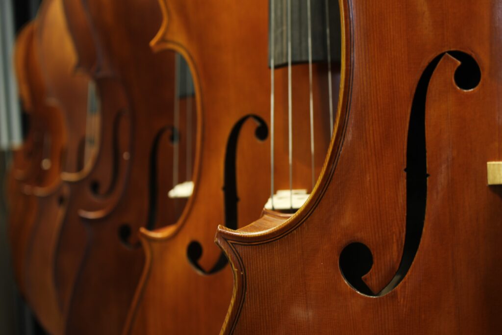The Difference Between The Violin and the Viola - Lessons In Your Home