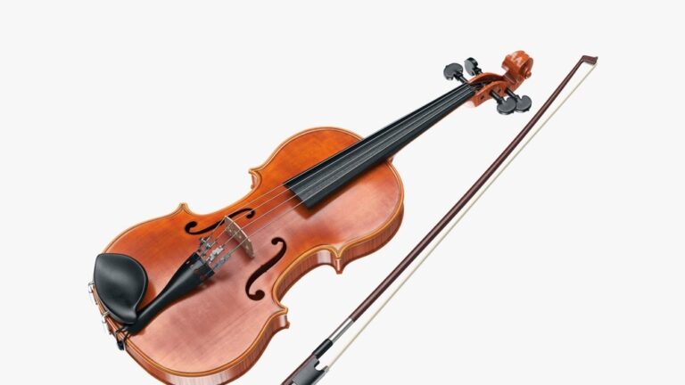 Cello Types Explained: Sizes, Shapes, Materials, & More - Lessons In ...